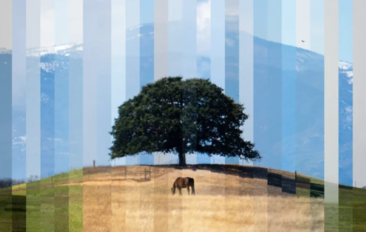 31 Fascinating Photos to Pique Your Interest