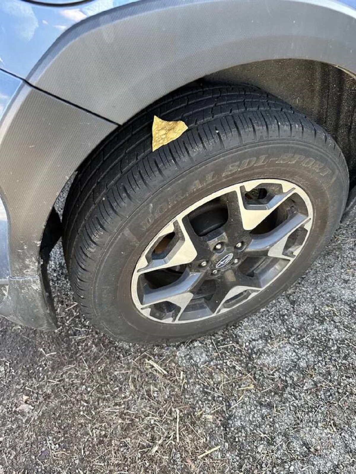 31 Fascinating Photos to Pique Your Interest