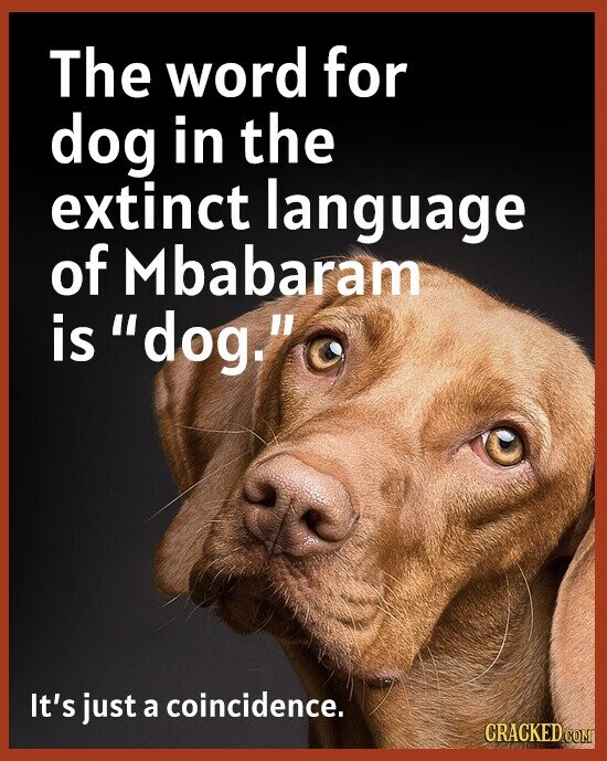 14 Amazing Historic Coincidences