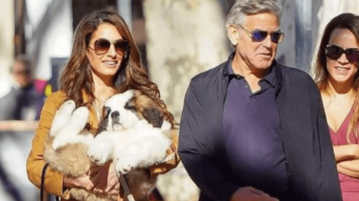 George Clooney spotted with new family member in South of France
