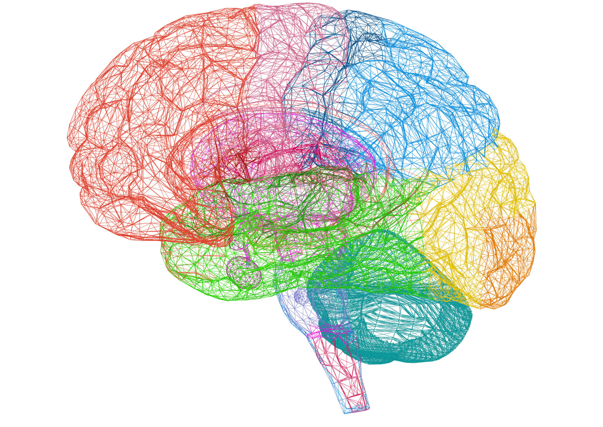 The life-changing ways exercise modifies your brain