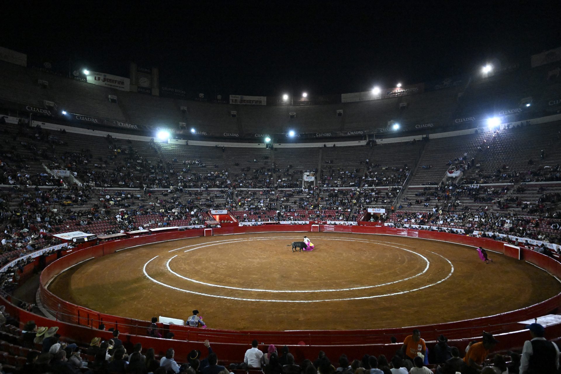 Kate del Castillo, Michelle Renaud y Sherlyn contra las corridas de toros