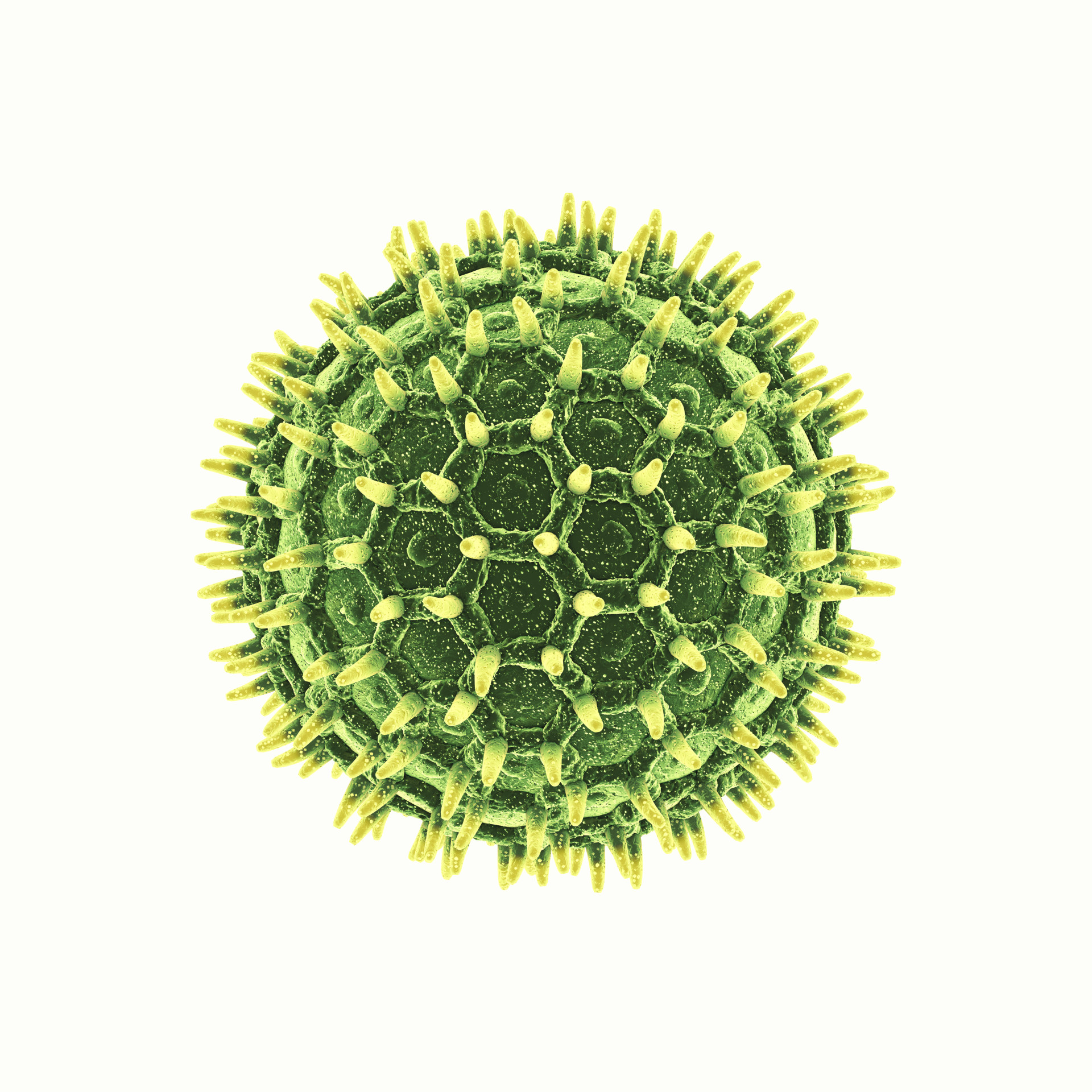 Autoimmune diseases: The facts behind the different types of immune ...