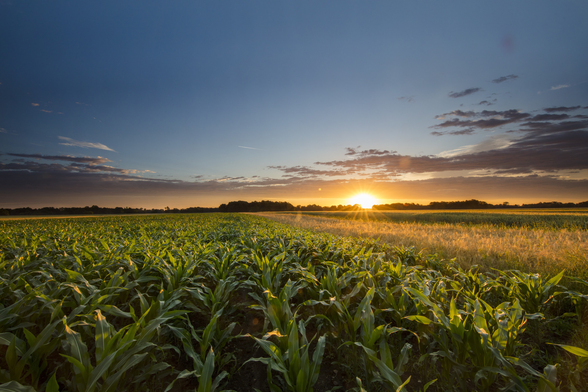 How human activities are changing the planet