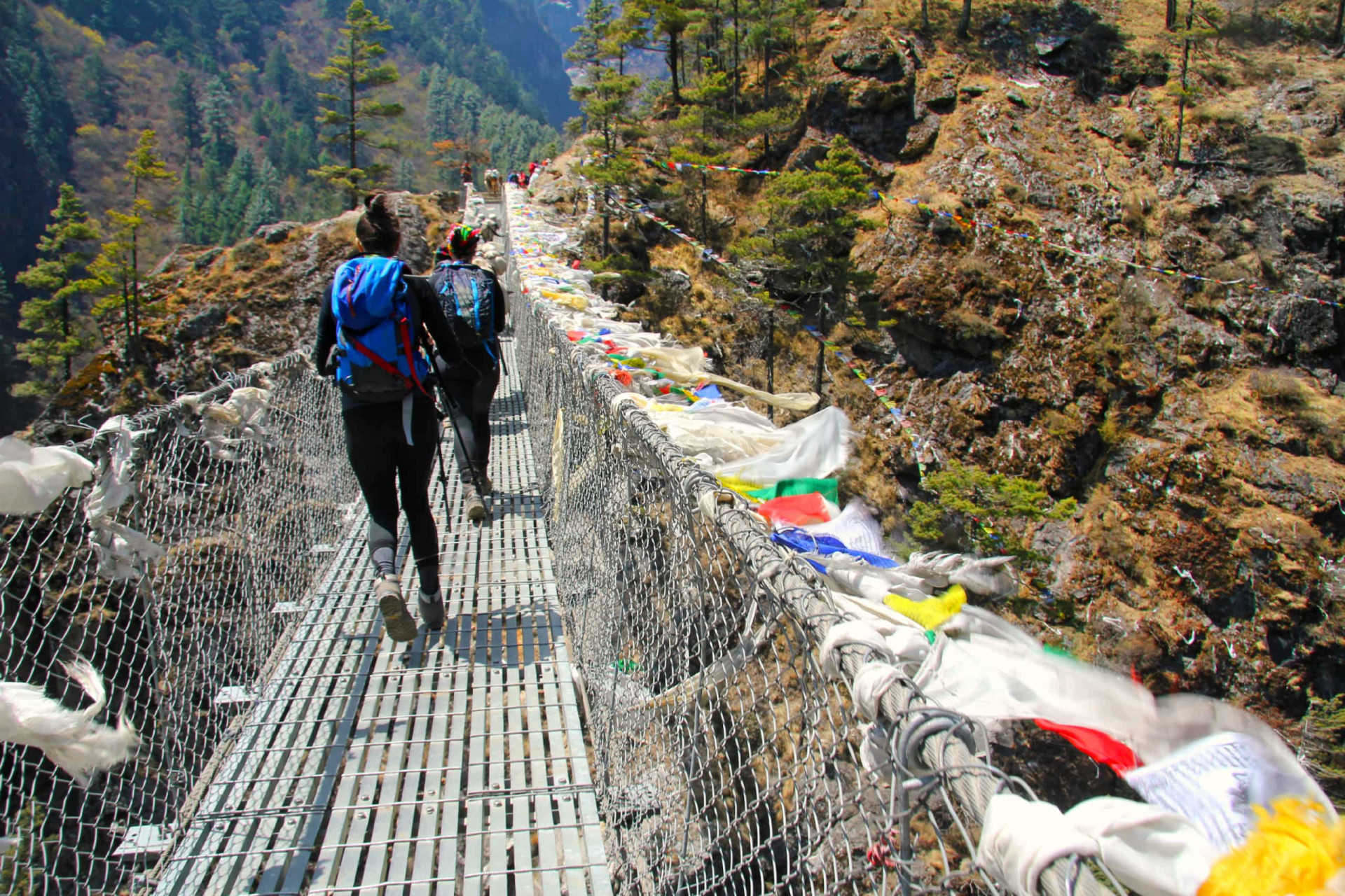 Step across the most amazing footbridges in the world