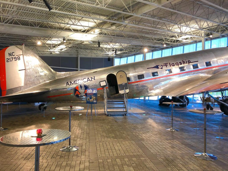 Dinos to Planes: 30 Family Friendly Things to Do in Dallas