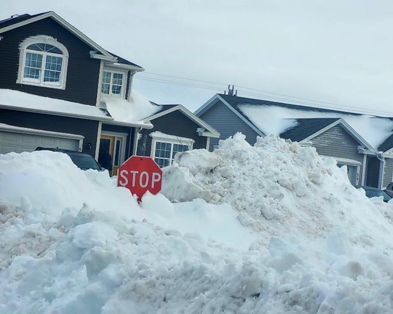 Blizzard conditions across Newfoundland as Nor'easter dumps up to 40 cm ...