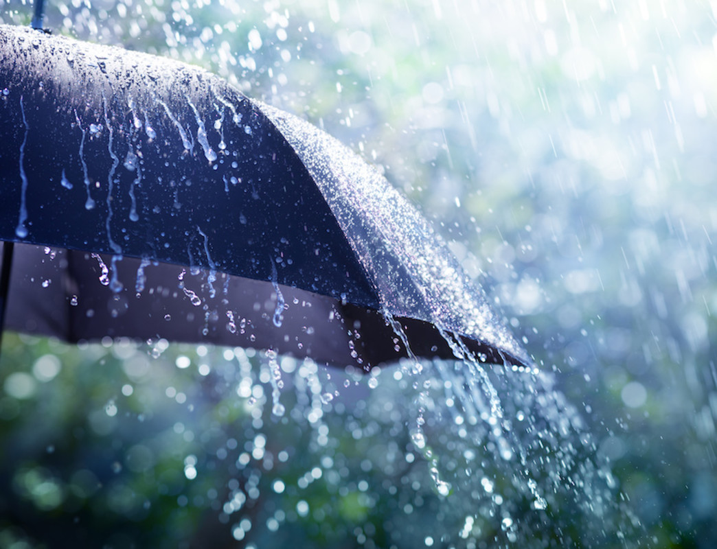 NYRA Cancels Thursday Racing Due To Forecasted Heavy Rain