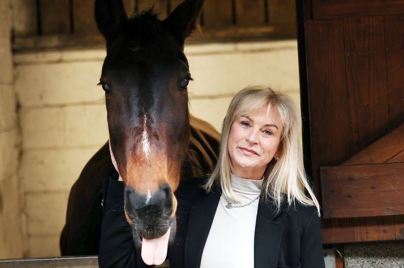 The North East school where horses help children back into education ...
