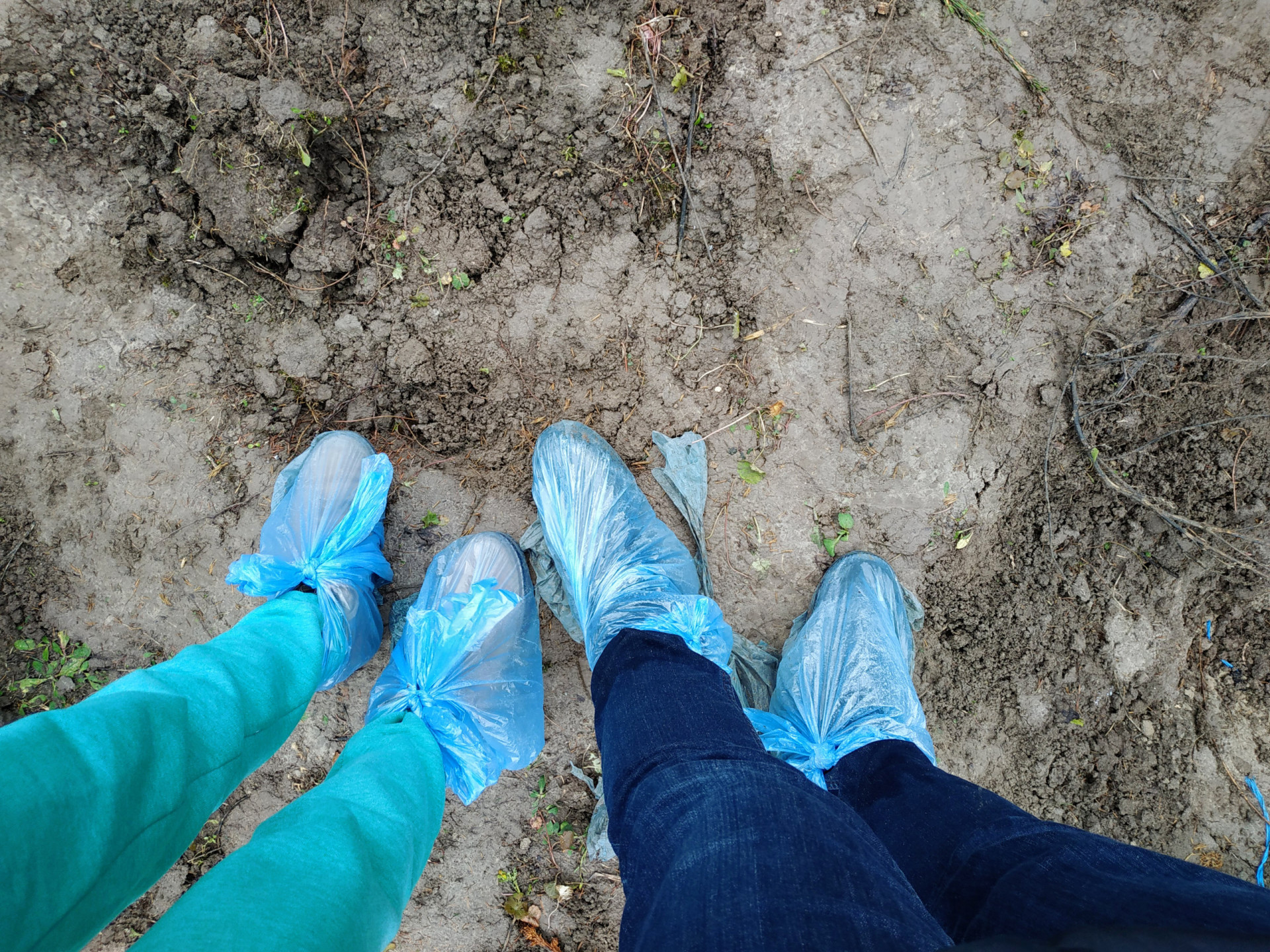 Essential hiking tips everyone should know