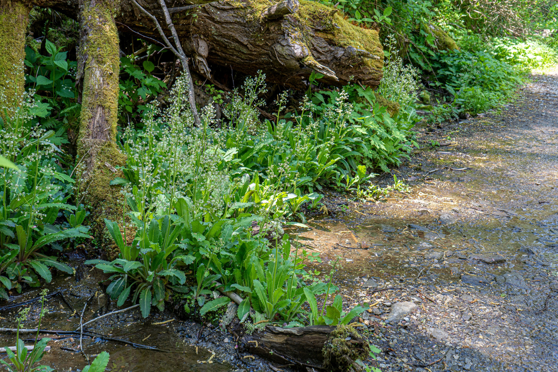 Essential hiking tips everyone should know