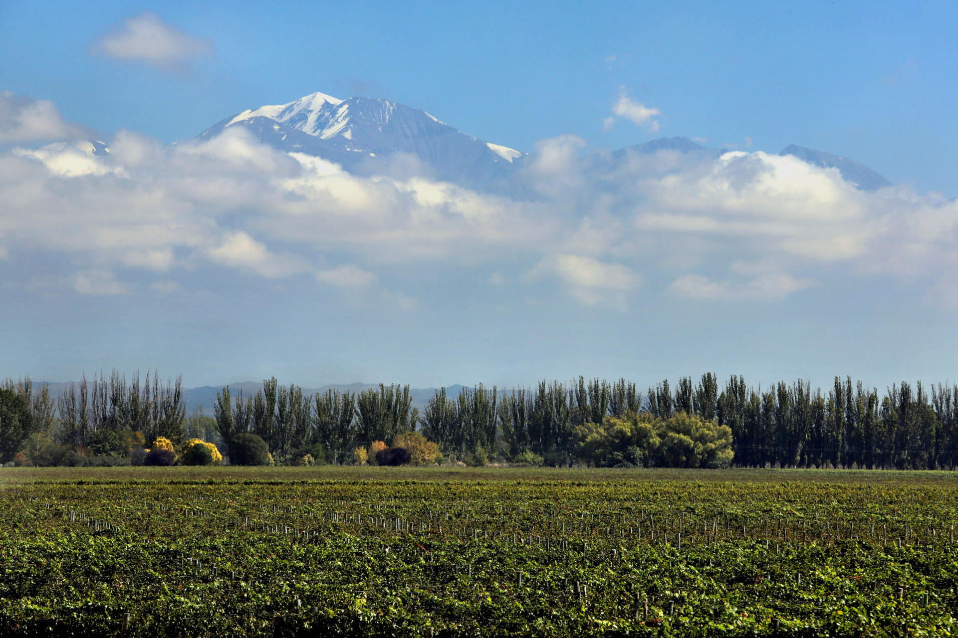 The harrowing story of the 1972 plane crash in the Andes