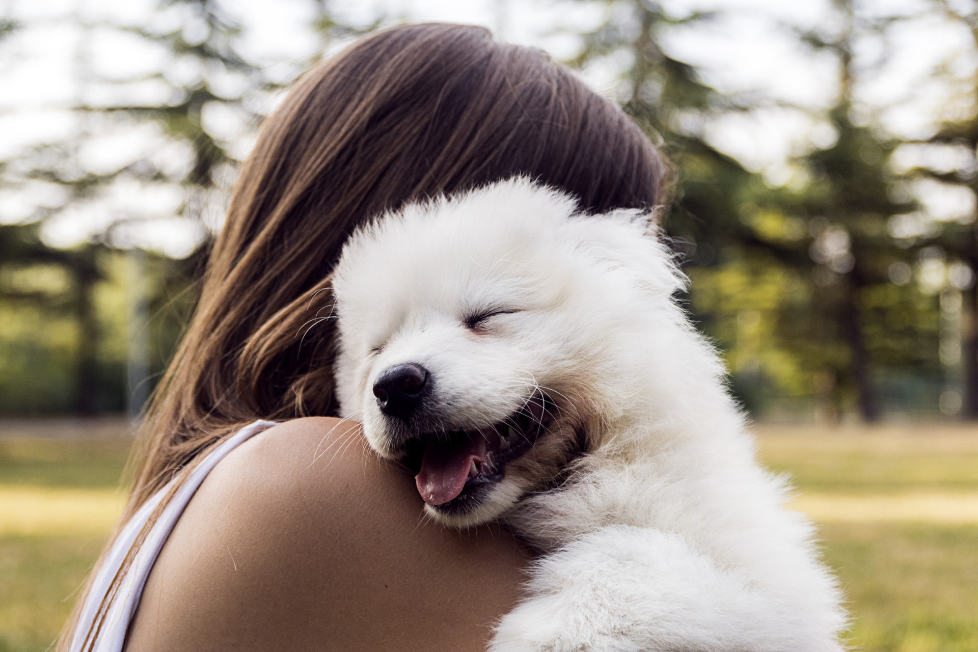 How these dog breeds can help you cope with depression