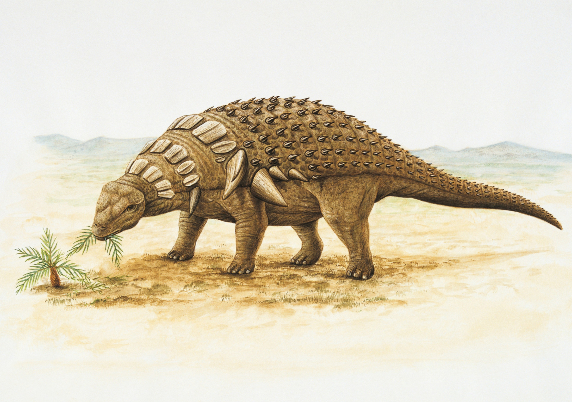 What exactly is insular dwarfism?