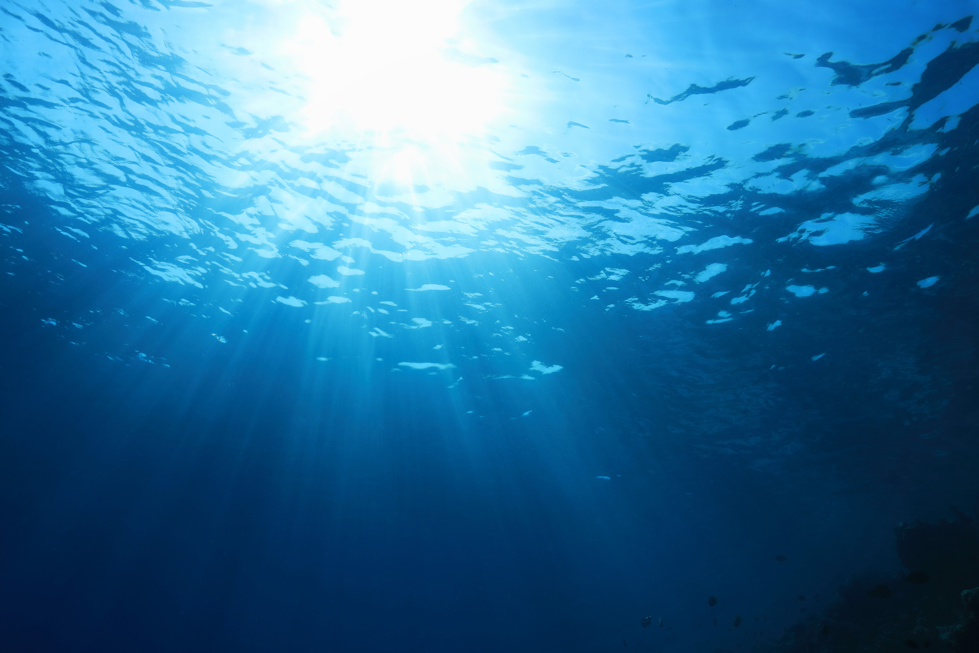 The lost city of Atlantis: fact or fiction?