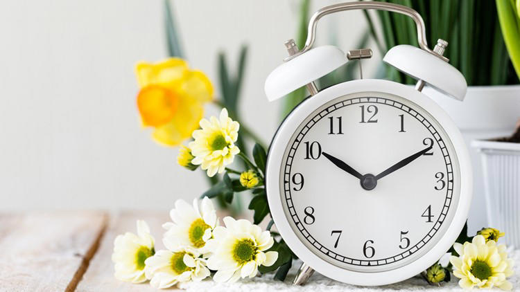 Daylight saving time will start soon: Here's when clocks will 'spring forward' in 2025