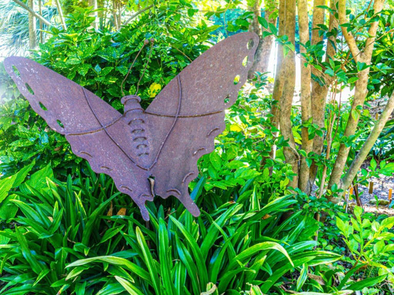 A Guide to Juniper Level Botanic Gardens, Raleigh: Exploring Botanical ...