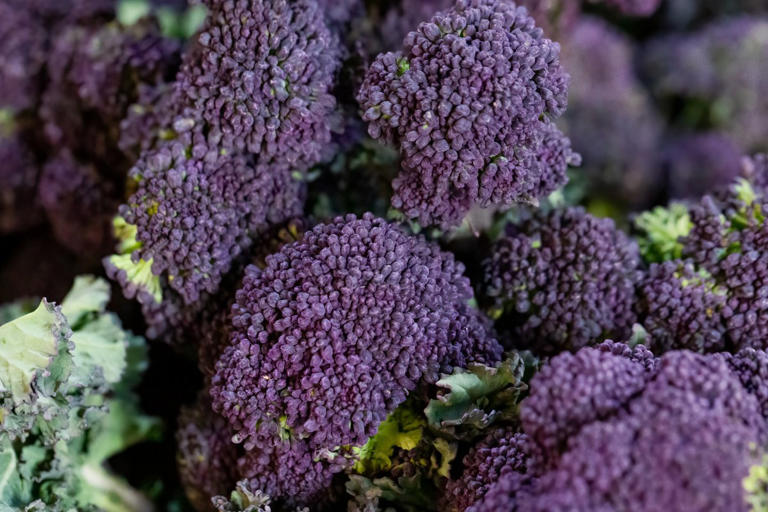 25 Purple Vegetables You Need to Try