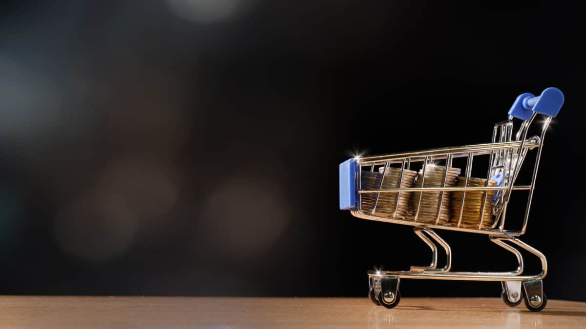 Everything you need to know about the new Woolworths dividend