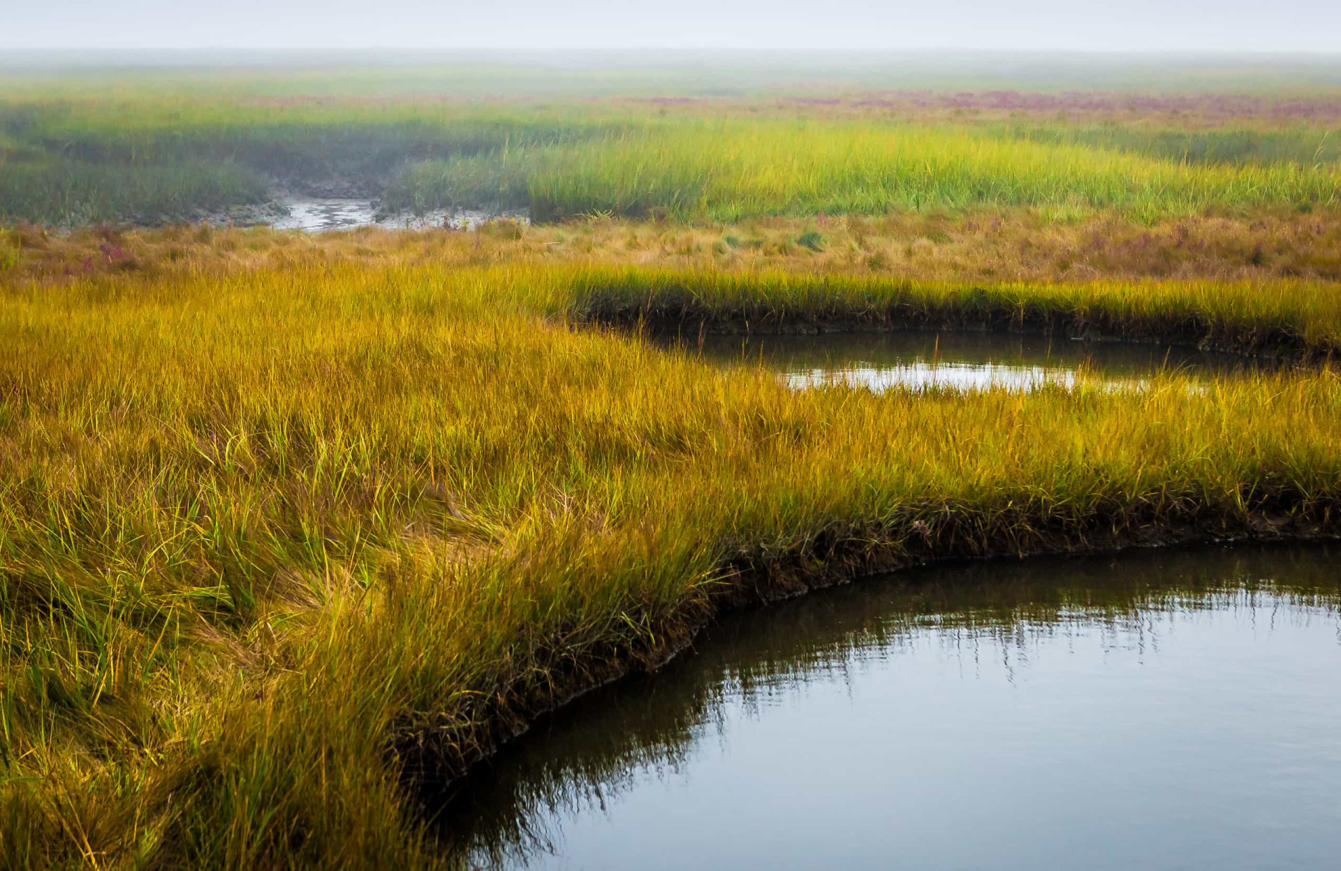 How the Moon influences our weather