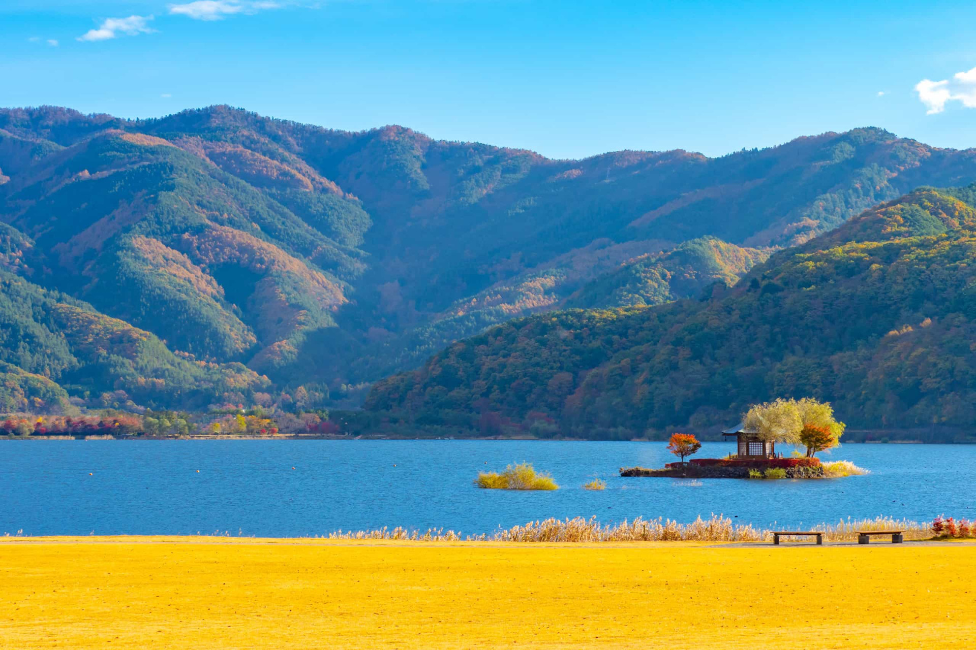 Everything you need to know about Shinto, Japan's oldest religion