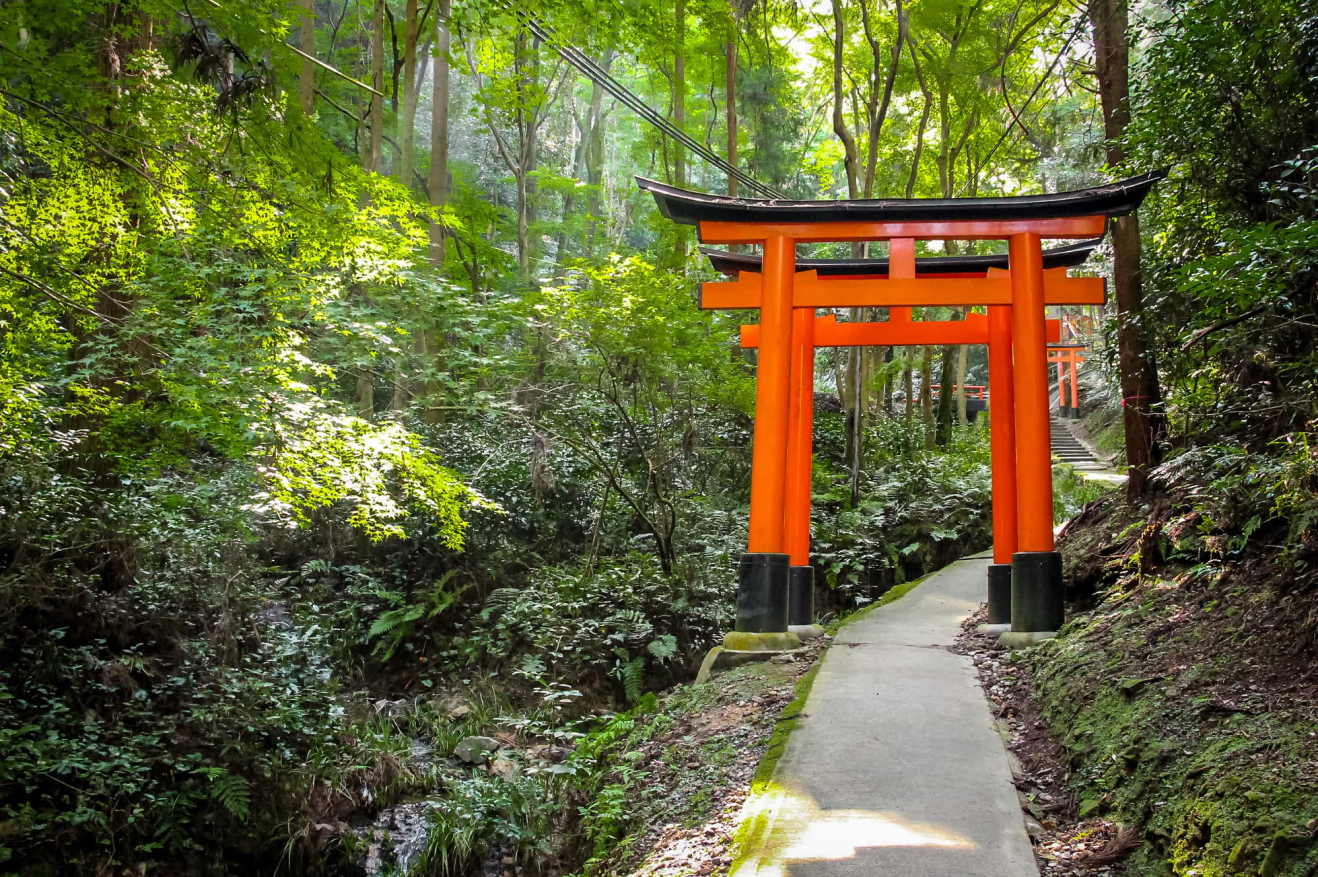All about Shinto, the oldest religion in Japan