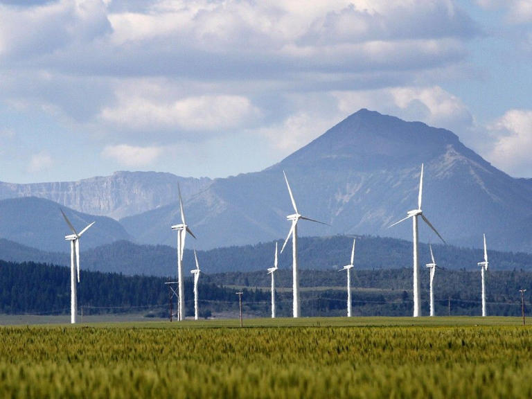Opinion: Alberta needs solar and wind energy to meet demand