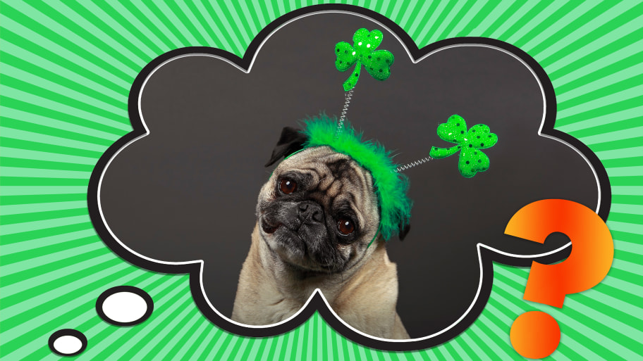 St. Patty’s Day vs. St. Paddy’s Day: Which Is Correct?