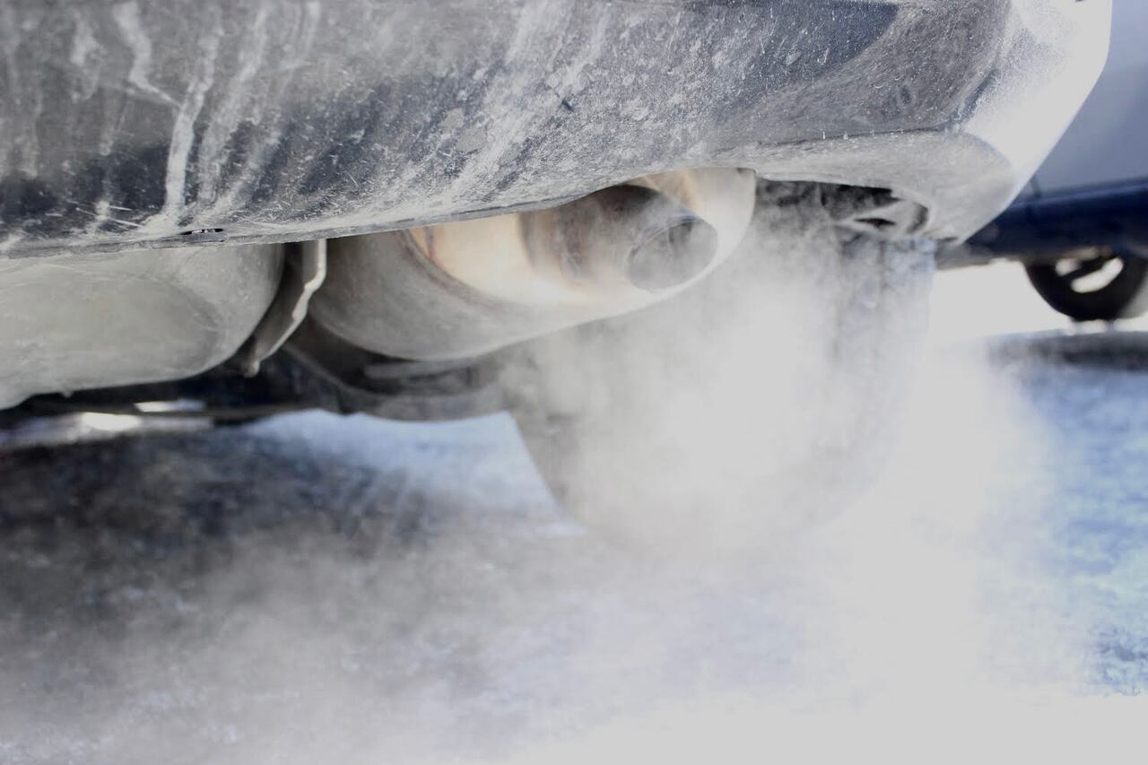 Carbon monoxide poisoning suspected in deaths of man, 84, dog found in ...