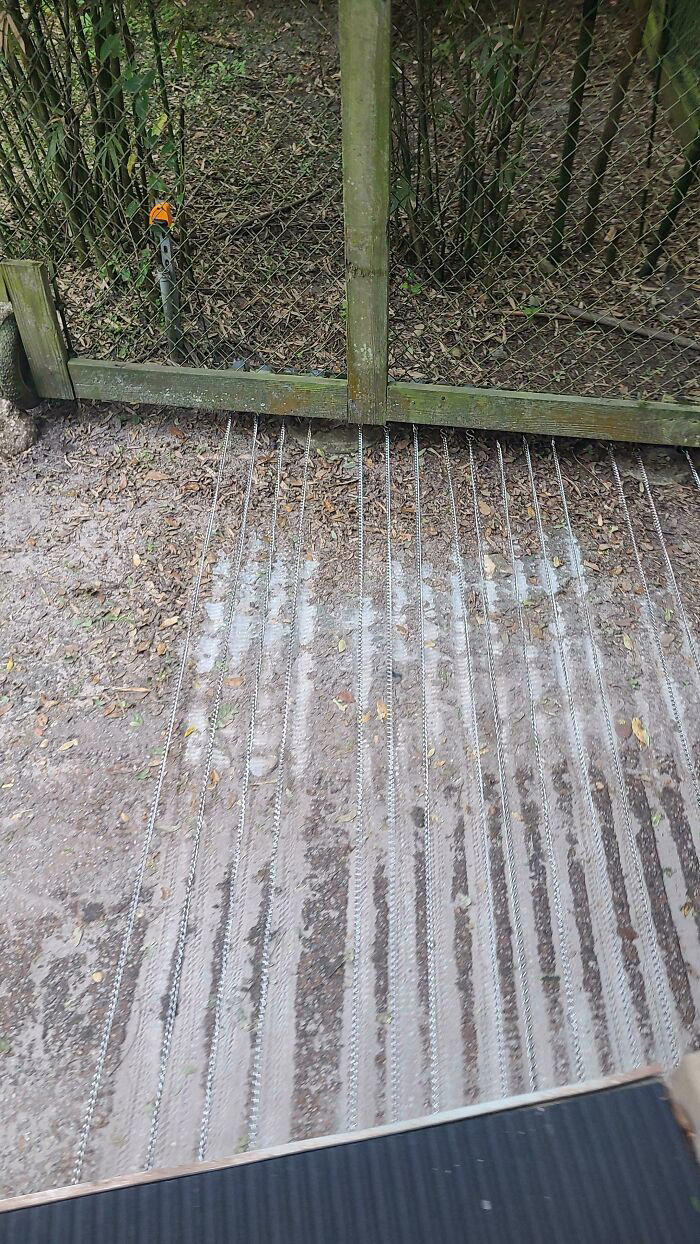 What is this thing?: 48 times people stumbled upon mysterious objects