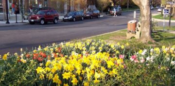 Delco Proud: 2 Suburbs Make Top 100 List of Best Places to Live in US