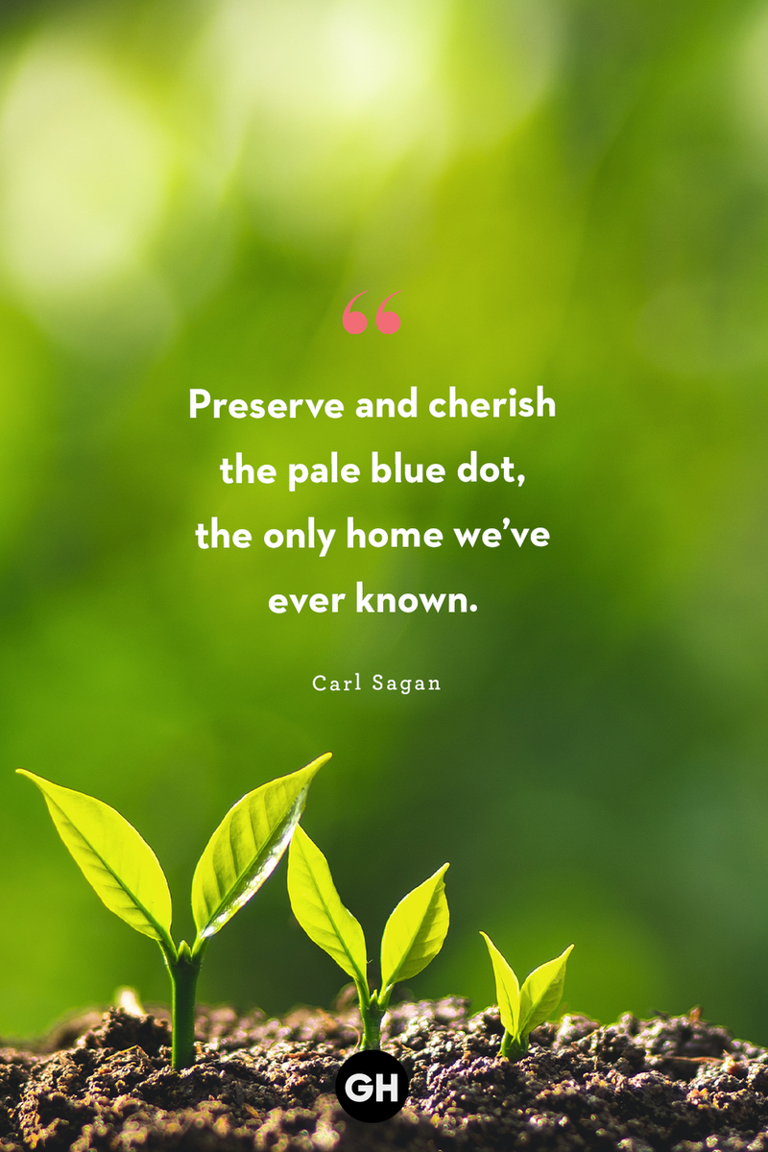 60 Inspirational Earth Day Quotes to Encourage a Better World