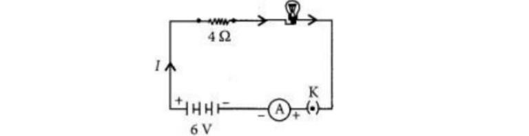 CBSE class 10 science most repeated questions PDF: Practice for board ...