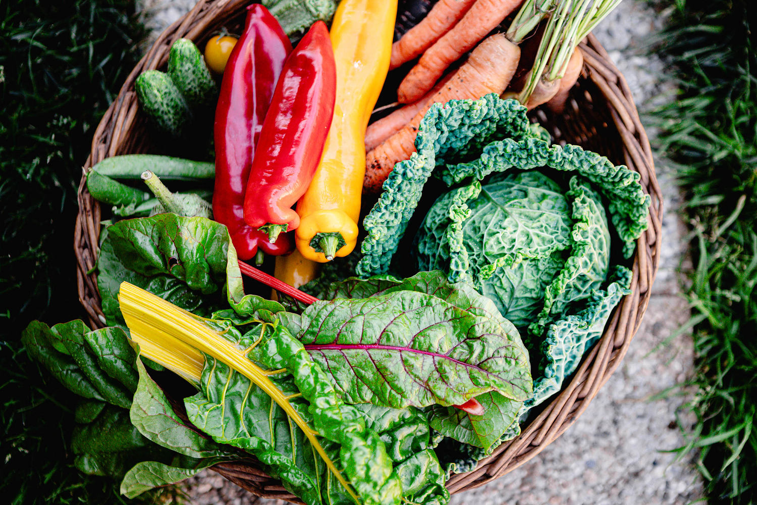 What are the healthiest vegetables? The No. 1 pick, according to a ...