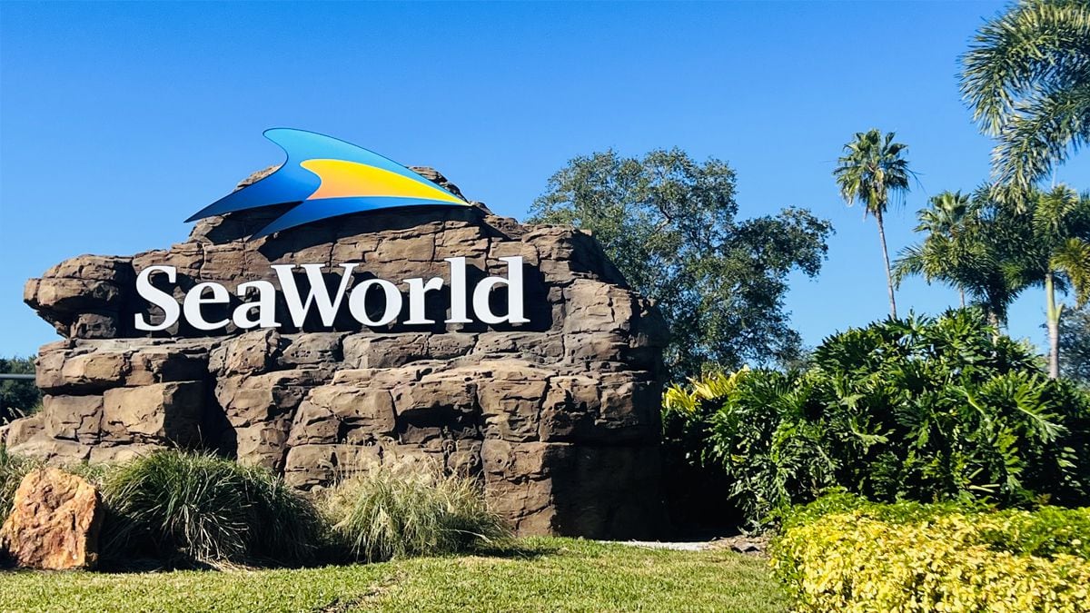 SeaWorld Orlando expands park accessibility with American Sign Language ...