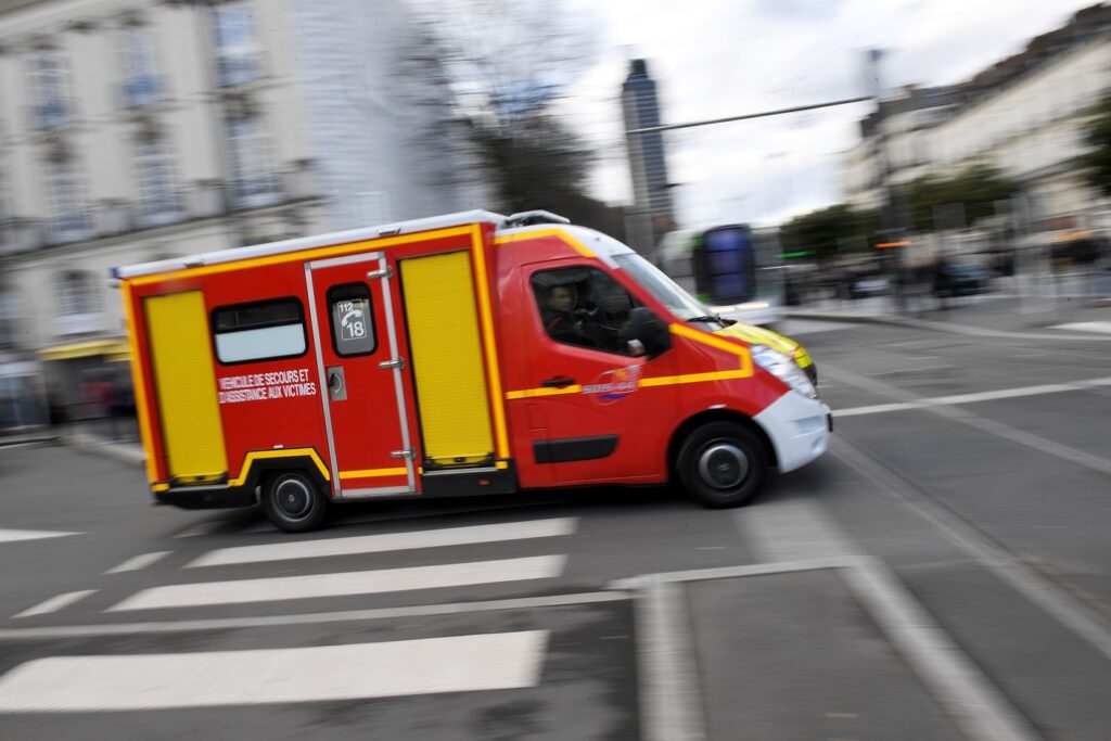 Une jeune femme tuée après une collision avec un sanglier sur une route ...