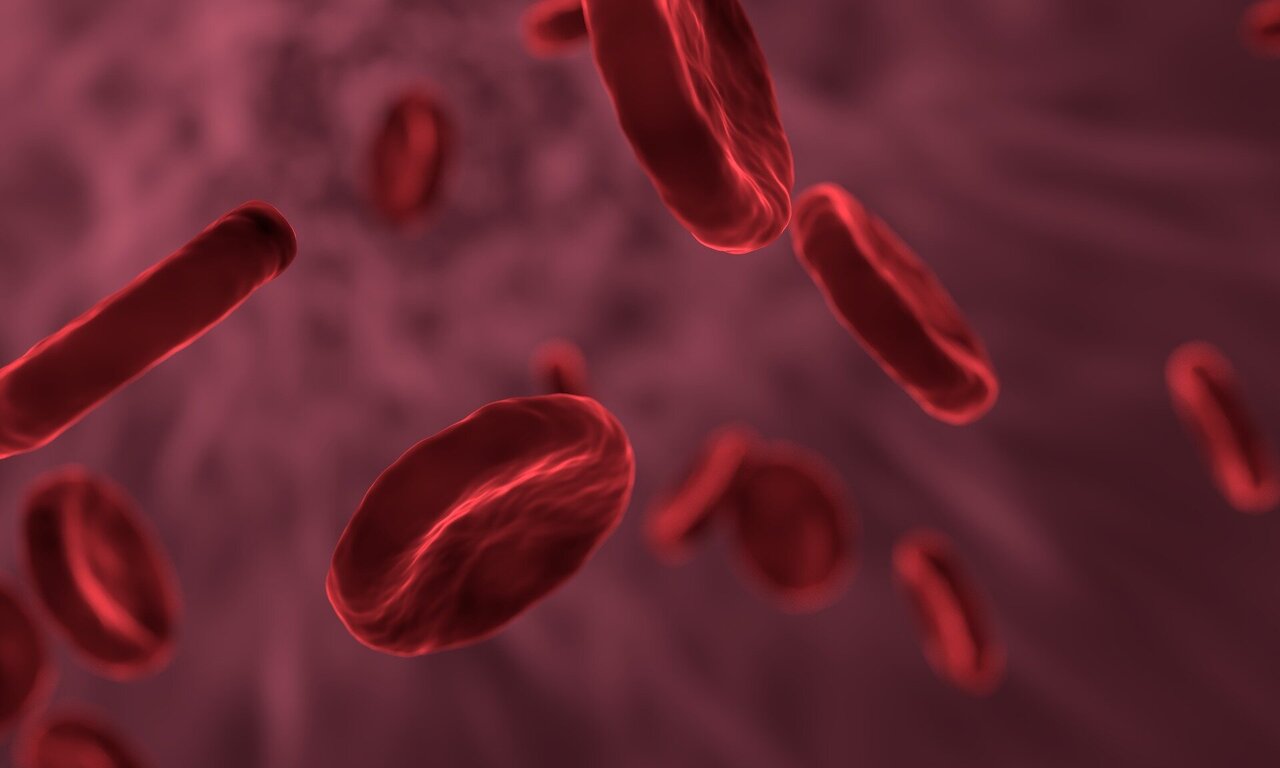 New study links blood proteins to Alzheimer's disease and memory loss