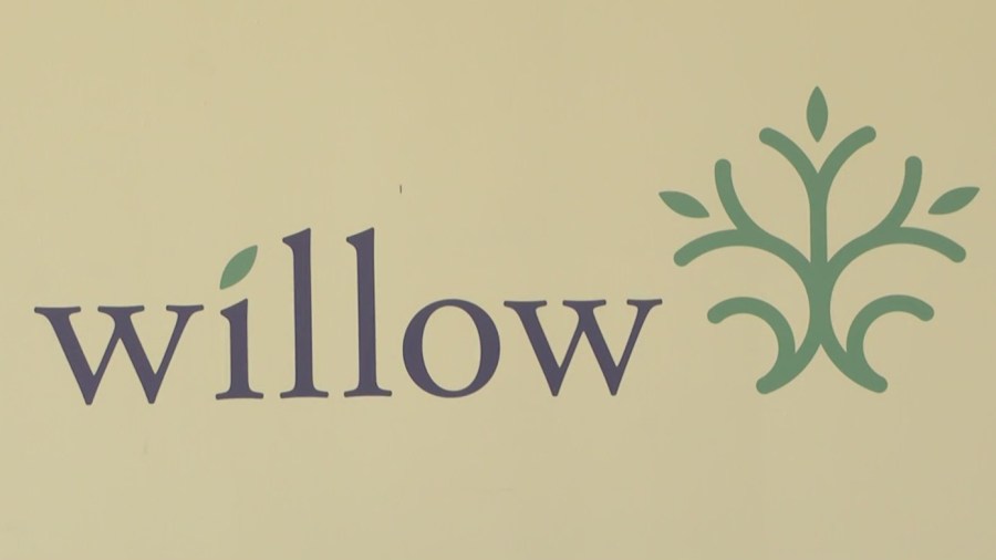 Willow Domestic Violence Center, community members honor Domestic ...