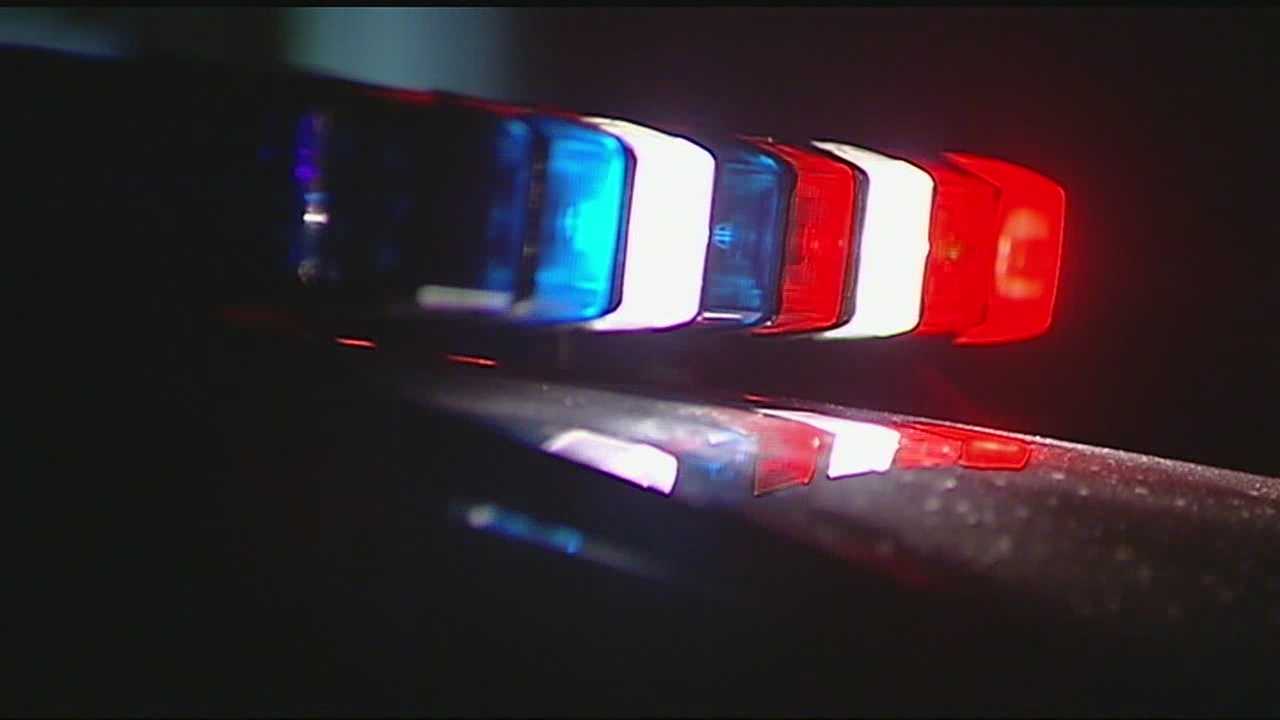 Two teens, 18-year-old charged in connection with Delhi Township car thefts