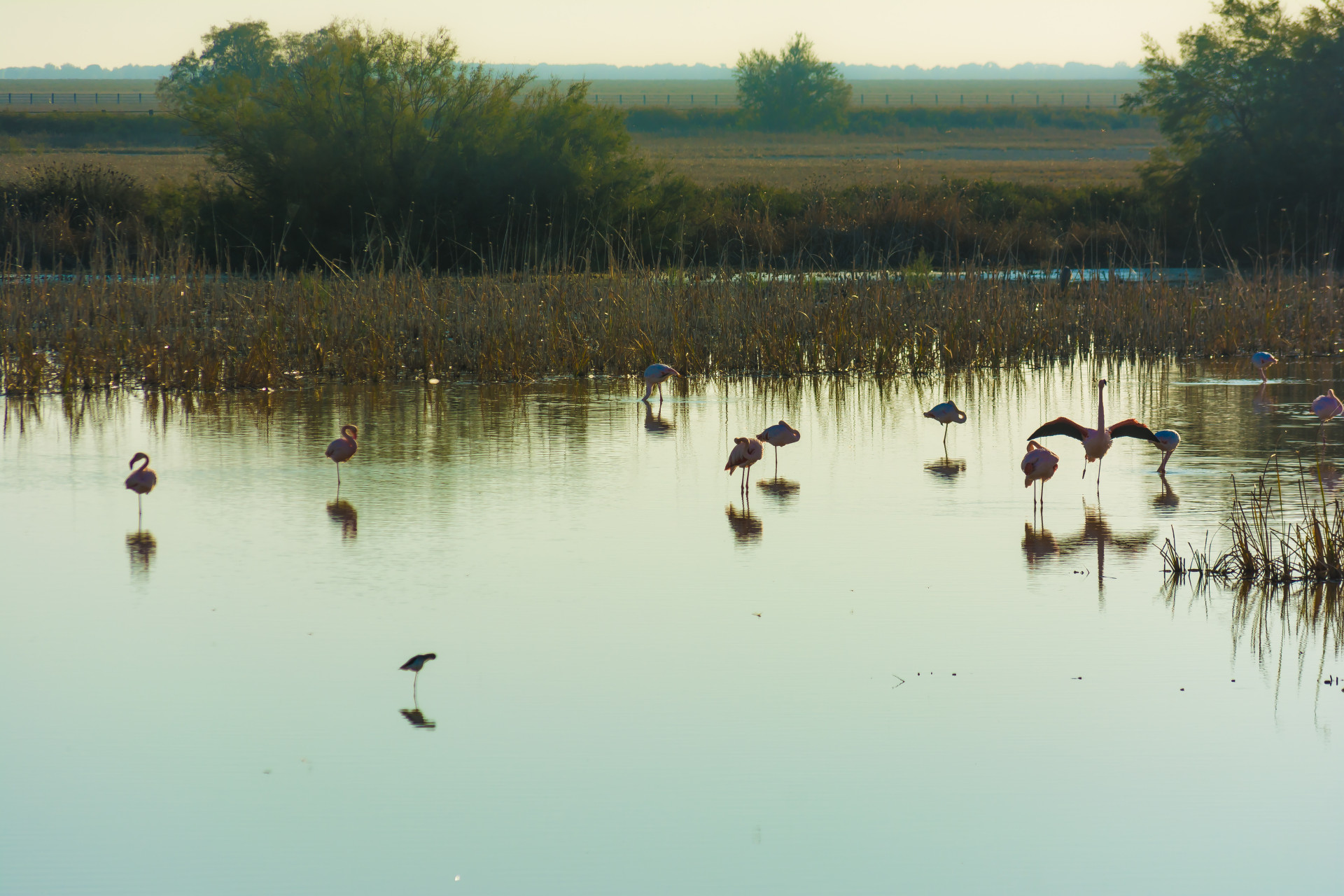 Lesser-known inventions of famous inventors