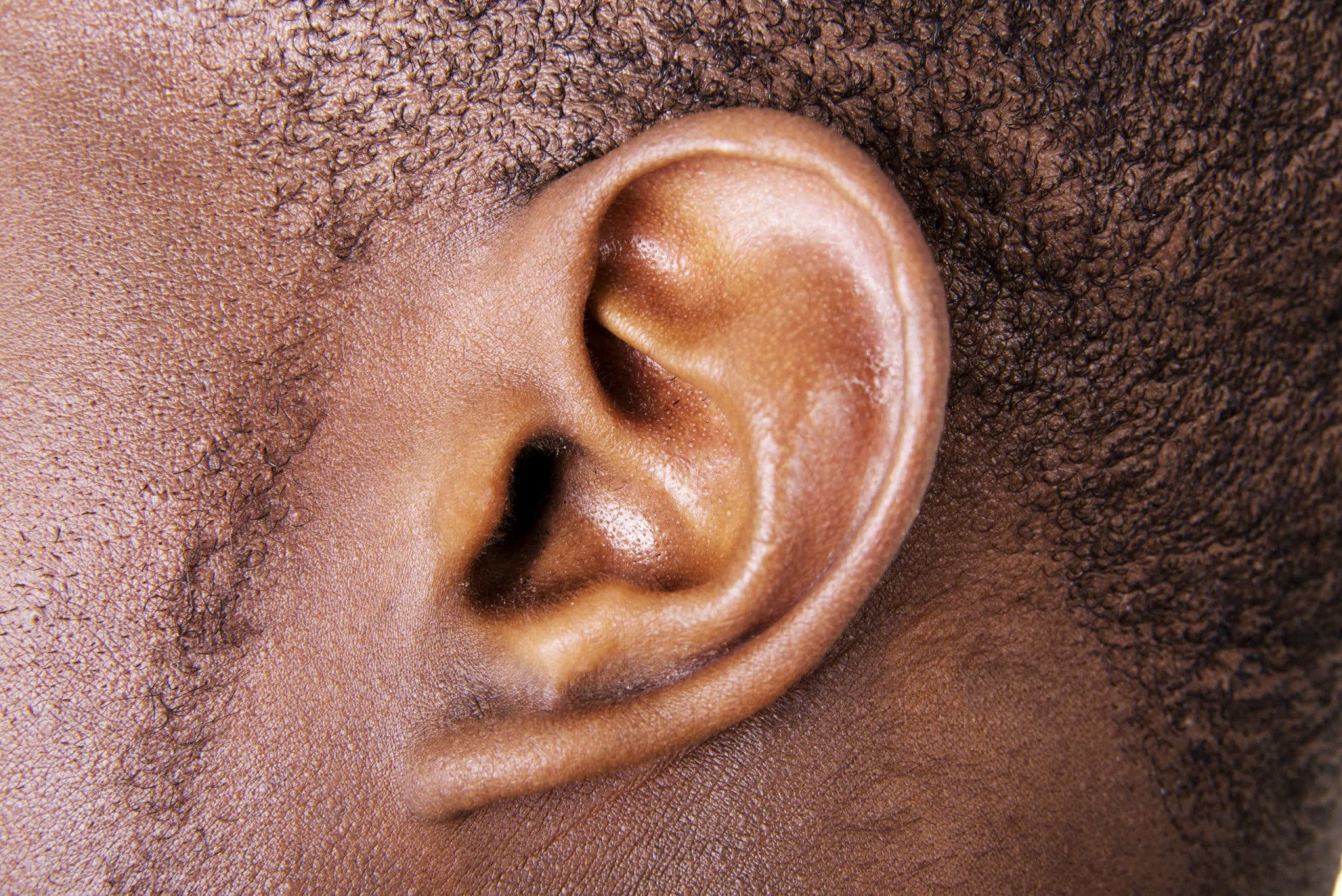 Why we should listen to our ears