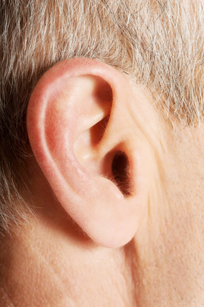 Why we should listen to our ears