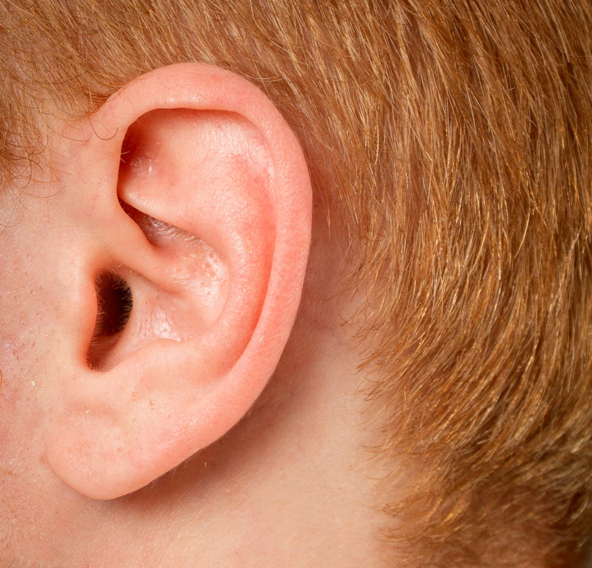 Why we should listen to our ears