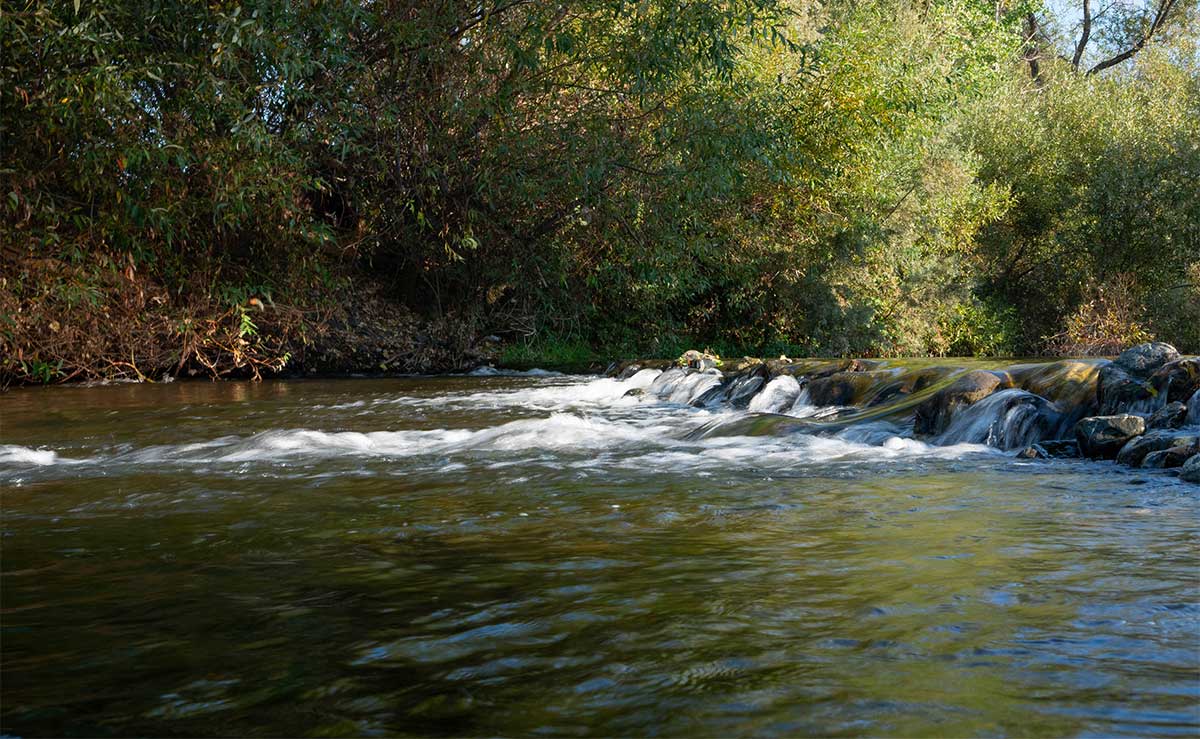 Marin Water board pursues project to capture more winter rainfall for ...