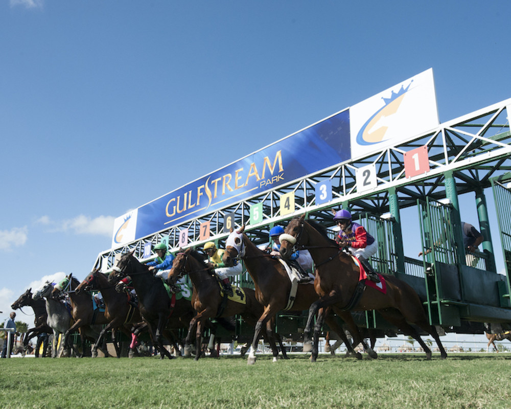 Gulfstream Park: Mandatory Rainbow 6 jackpot payout set for Pegasus Day