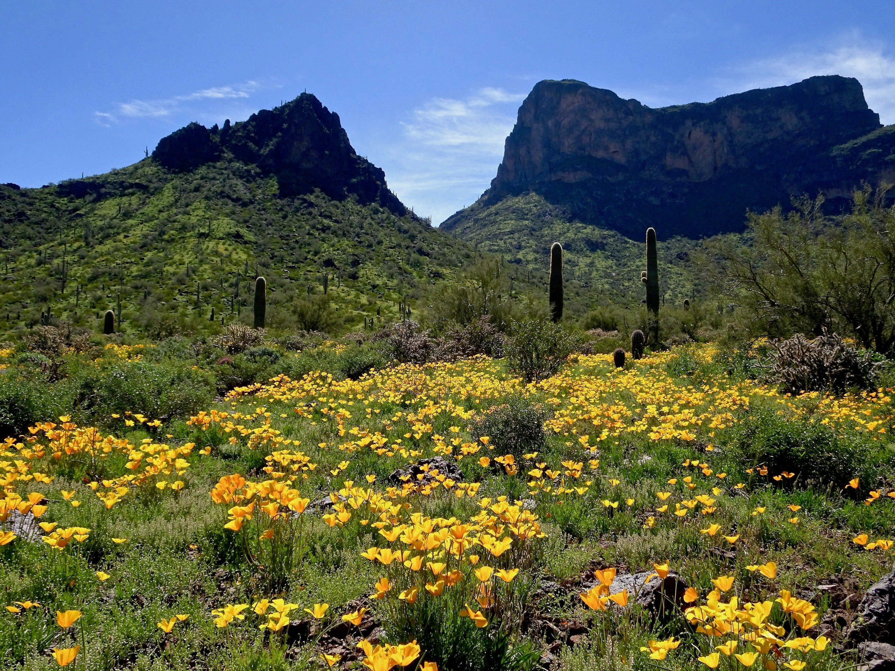After 50 years of exploring Arizona, I still love these 10 spots best