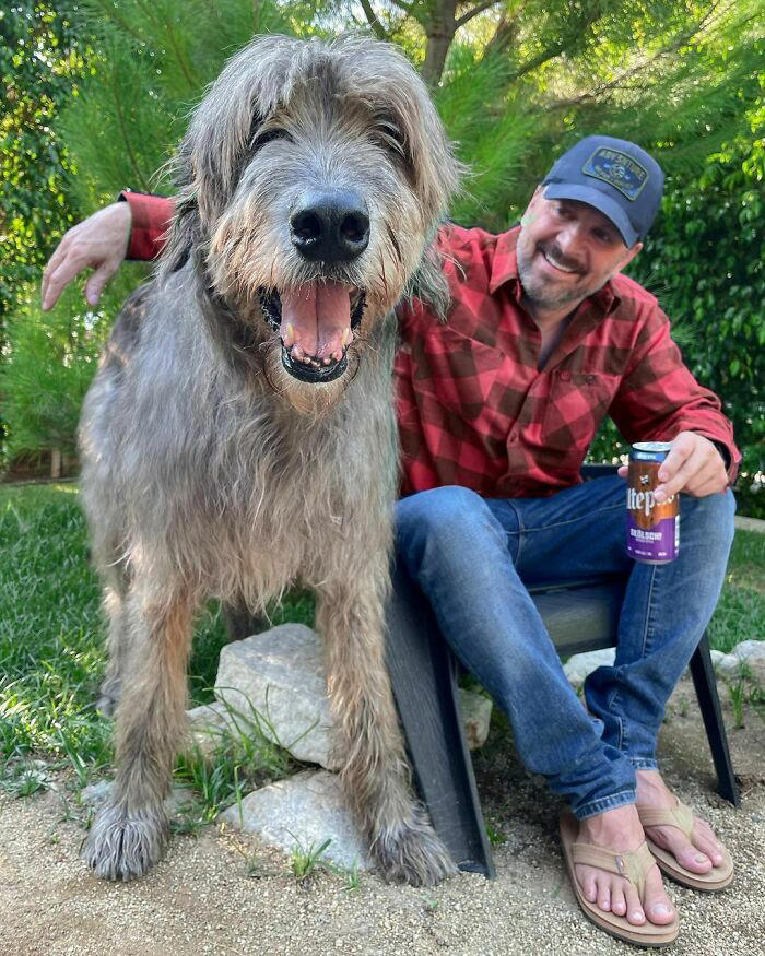 49 dogs that are absolute units and don’t know how big they are