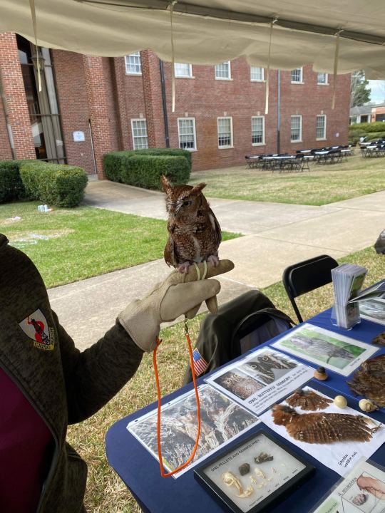 Centenary’s Magale Fest: free, art, music, book swap and more