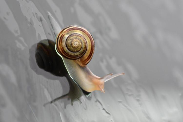 Météo. Quel temps est-il prévu à Toulouse et ses environs le samedi 14 ...