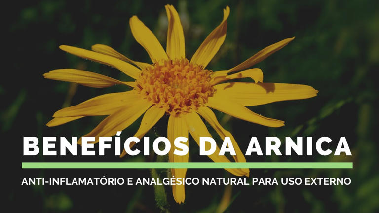 Arnica: para que serve e benefícios